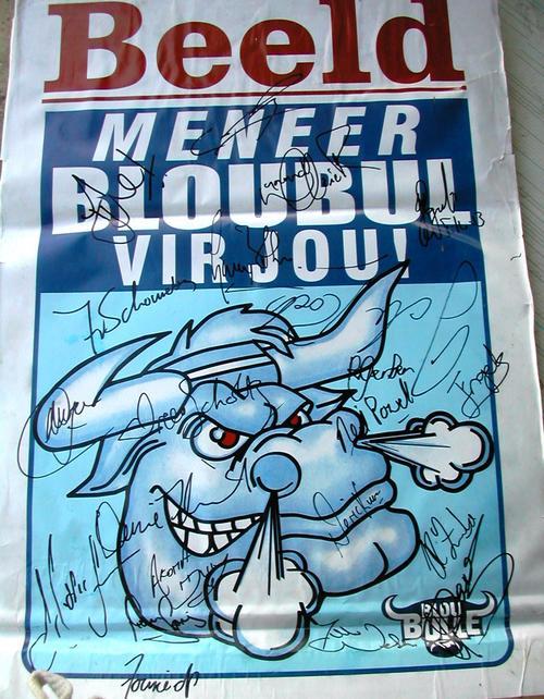 Rugby Large Original Blou Bul Poster Signed By 20 Blue Bulls Players Mostly Springboks Was