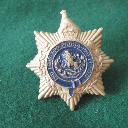 international-badges-insignia-zimbabwe-police-cap-badge-in