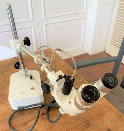 Microscopes - Eschenbach Stereo Microscope with Single-Arm Boom Stand ...