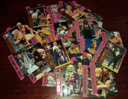 Trading Cards - 90 x 1995 Panini WWF Collectors Cards (M/NM) + 34 ...