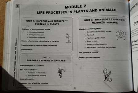 Other Textbooks & Educational - GR 10 CAPS LIFE SCIENCES `3 in 1 ...