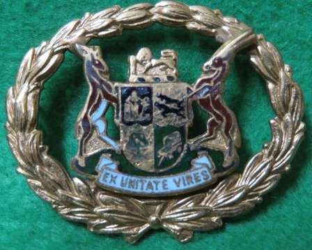 Other Badges & Insignia - **SAP**WARRANT OFFICER BADGE** ALL PINS ...