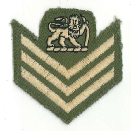 International Badges & Insignia - RHODESIAN ARMY BADGES was sold for ...