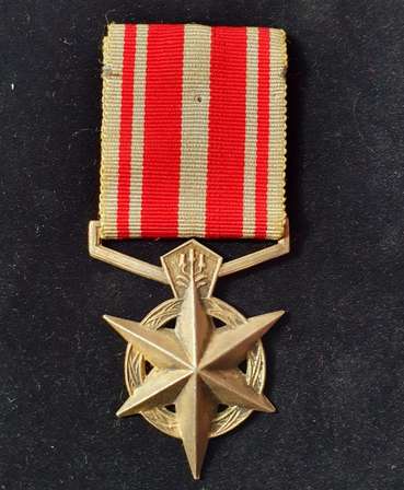 SADF & SANDF - 1983 KOEVOET BEKAMPING VAN TERRORISME FULL SIZE MEDAL ...