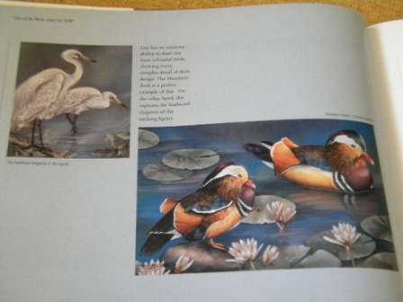 Art & Photography - LISA HALSTEAD WILDLIFE ARTIST `OUT OF THE MEEK ...