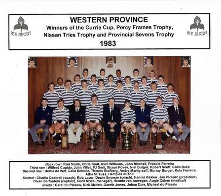 Sporting Memorabilia - 1983 Western Province Rugby Squad Photo was sold ...