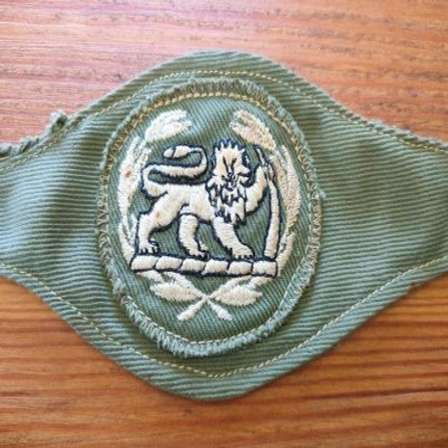 International Badges & Insignia - Rhodesian Field Dress WOII Wrist ...