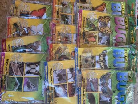 Other Antiques & Collectables - Real Life Bugs And Insects With ...