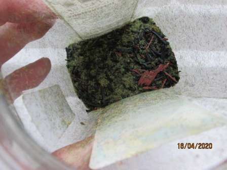 Scenery - HO SCALE : SCENIC EXPRESS x2 CONTAINERS (BOTH HALF FULL ...