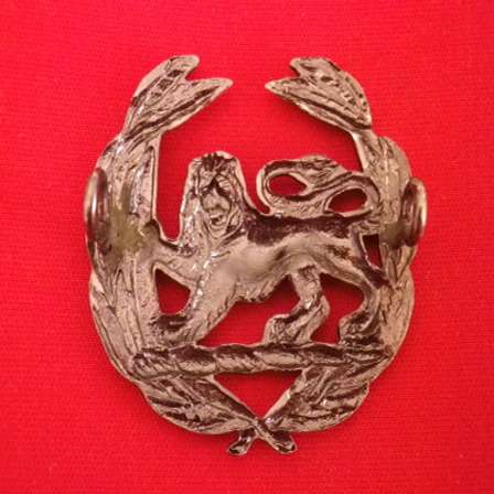 International Badges & Insignia - RHODESIAN ARMY WO2 BLACK ANODISED ...