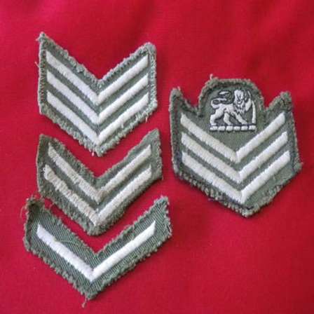 International Badges & Insignia - RHODESIAN ARMY - SET COMBAT RANKS - L ...