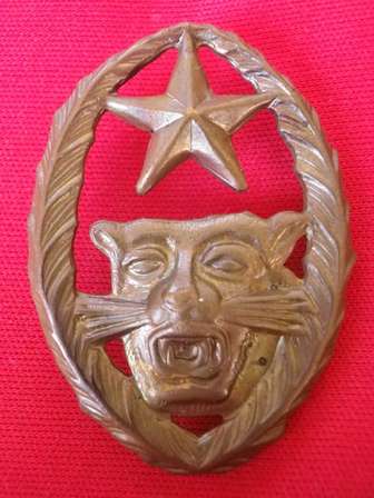 International Badges & Insignia - MIKE HOARE`S CONGO MERCENARY 5 ...