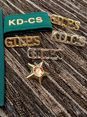 Other Badges & Insignia - Collection of isignia was listed for R50.00 ...