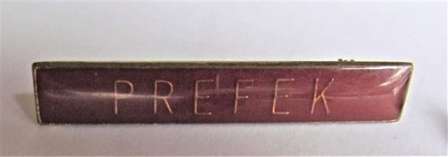 Other Antiques & Collectables - HOOFDOGTER + 2 X PREFEK BADGES - 1 BID ...