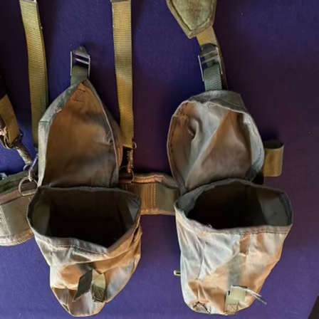 Kit - SPECIAL FORCES NIEMOLLER Olive Green Combat Rig for sale in Cape ...