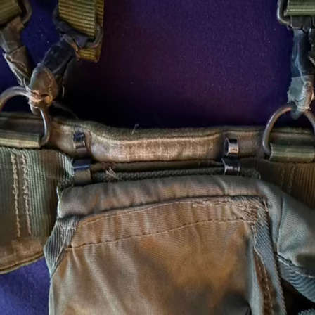 Kit - SPECIAL FORCES NIEMOLLER Olive Green Combat Rig for sale in Cape ...