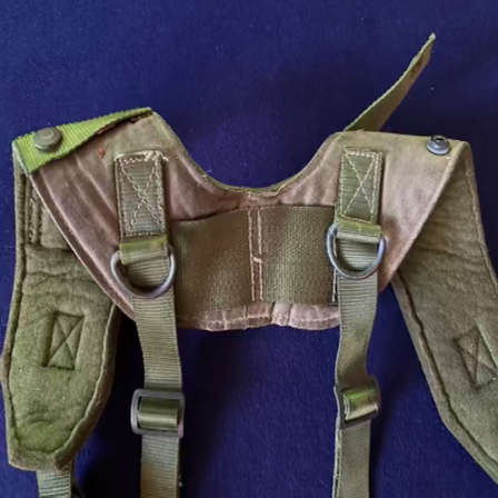 Kit - SPECIAL FORCES NIEMOLLER Olive Green Combat Rig for sale in Cape ...