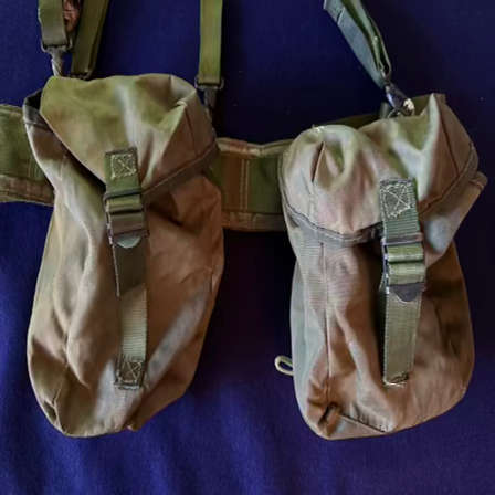 Kit - SPECIAL FORCES NIEMOLLER Olive Green Combat Rig for sale in Cape ...