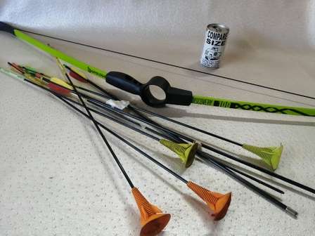 Bows - Geologic Discovery 100 Archery Bow and Arrow Set was sold for ...