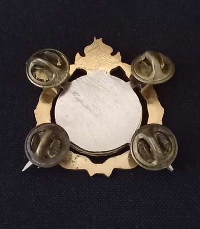 Emergency Services - SAPS badge - Bomb disposal proficiency badge Size ...