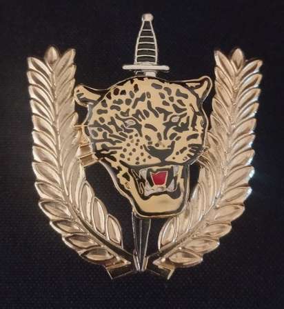 South African Army - Angolan Executive Outcomes Recce Operators Badge ...