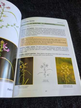 Philosophy, Religion & Spirituality - Common Wild Flowers of the Okavango Delta | The Shell ...