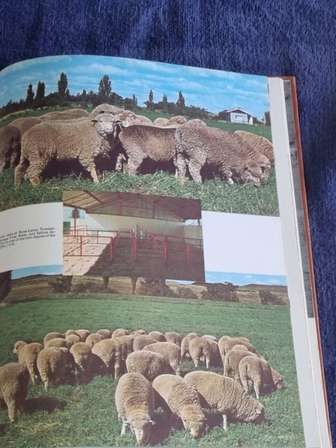 Natural Science - Letelle the Development of a South African Sheep by P ...