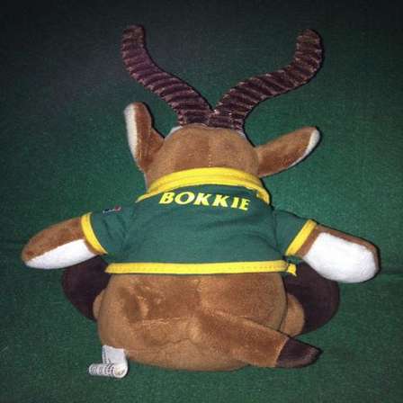 Sporting Memorabilia - Bokkie +-25cm - Plush Springbok - Official ...