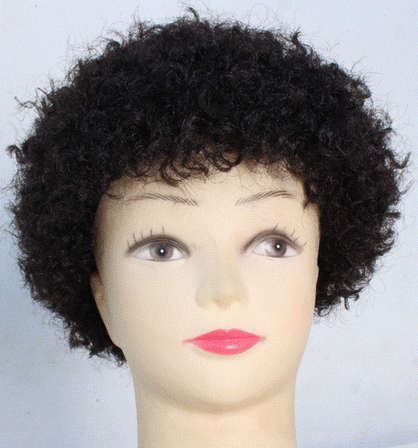 Wigs - Dry Perm Wig - Colour Brown was sold for R250.00 on 1 Jan at 09: ...