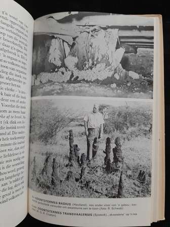 Afrikaans Non-Fiction - Die Siel van Die Mier By Eugène N. Marais for ...