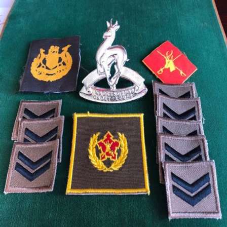 South African Army - MIXED LOT OF SA BADGES AND RANKS -12 ITEMS IN ...