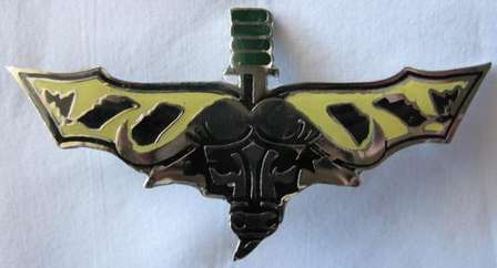 South African Army - 32 BATTALION RECCE WING - METAL - 2 PINS ...
