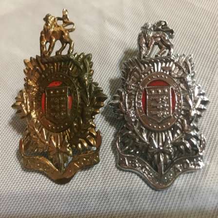 South African Army - SA Army military SADF badges and buttons & SAA ...