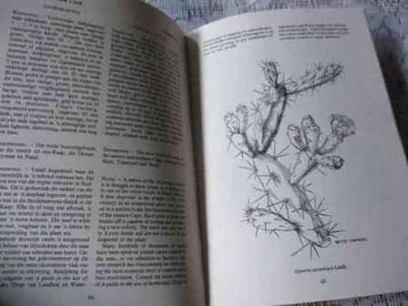 Natural Science - VERKLAARDE ONKRUIDE EN INDRINGER PLANTE / DECLARED ...