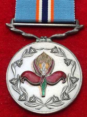 SADF & SANDF - S22) RARE SA PRO MERITO 1967 MEDAL FULL SIZE was sold ...