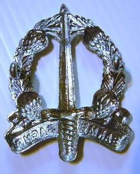 South African Army - SA Corps of Military Police Chromed Cap Badge Loop ...