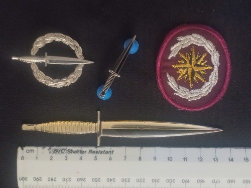 South African Army - SADF Special Force / Recce Operator Badge (Silver ...