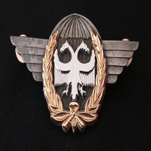 South African Airforce - SAAF Task Force Qualification Badge ( Bi-Metal ...