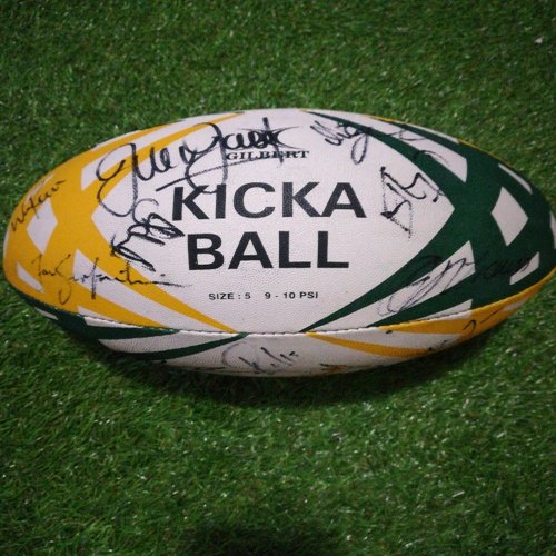 Sporting Memorabilia - Springbok signed rugby ball RWC 2015 team was ...