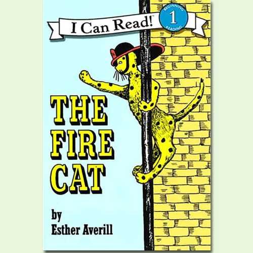 Courses & Study Guides - The Fire Cat - FIR-CAT was listed for R195.00 ...