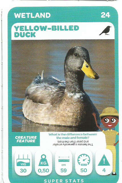 Trading Cards - PICK n PAY "SOUTH AFRICAN SUPER ANIMALS" SERIES 2 ...