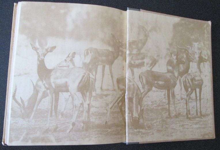 Africana Books - Our South African National Parks, Ons Suid-Afrikaanse ...