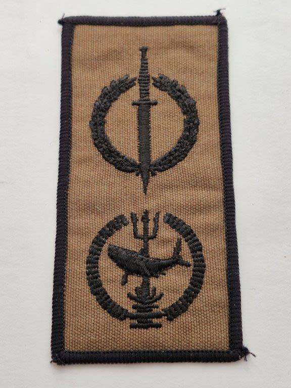 South African Army - Recce/Special Forces Operator and Attack Diver ...