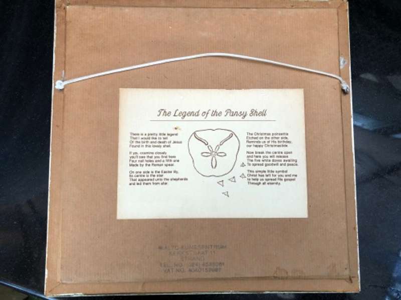 Mixed Media & Collages - WOW !!!! STUNNING FRAMED PANSY SHELL IN A DEEP ...