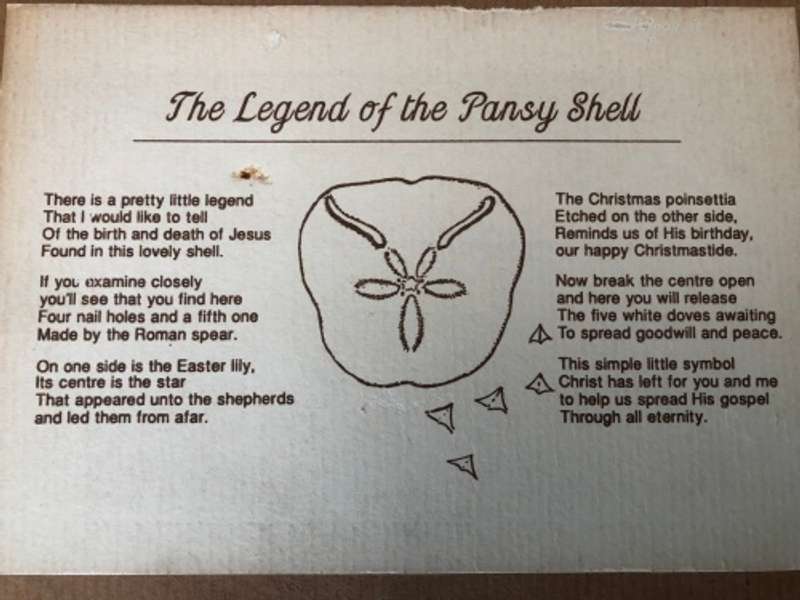 Mixed Media & Collages - WOW !!!! STUNNING FRAMED PANSY SHELL IN A DEEP ...