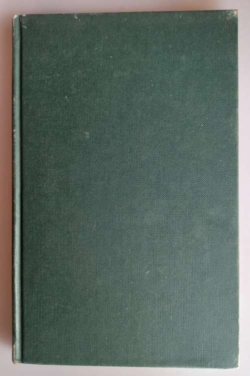 Afrikaans Fiction - Die nuwe dagbreek deur Mike Heine for sale in ...