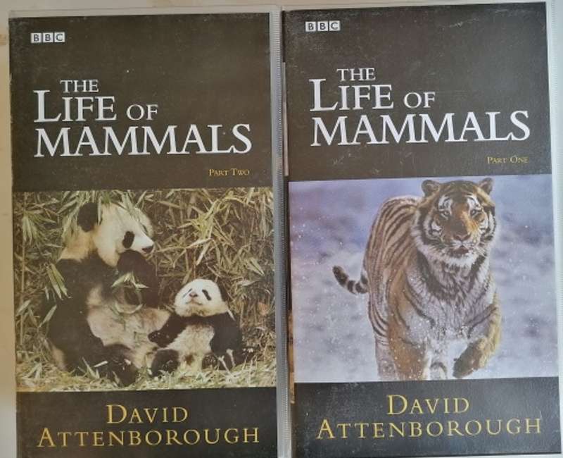Movies - The life of mammals - David Attenborough 4 x VHS for sale in ...