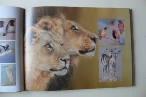 Art & Photography - In My Nature Artist Lisa Halstead Celebrates 25 ...