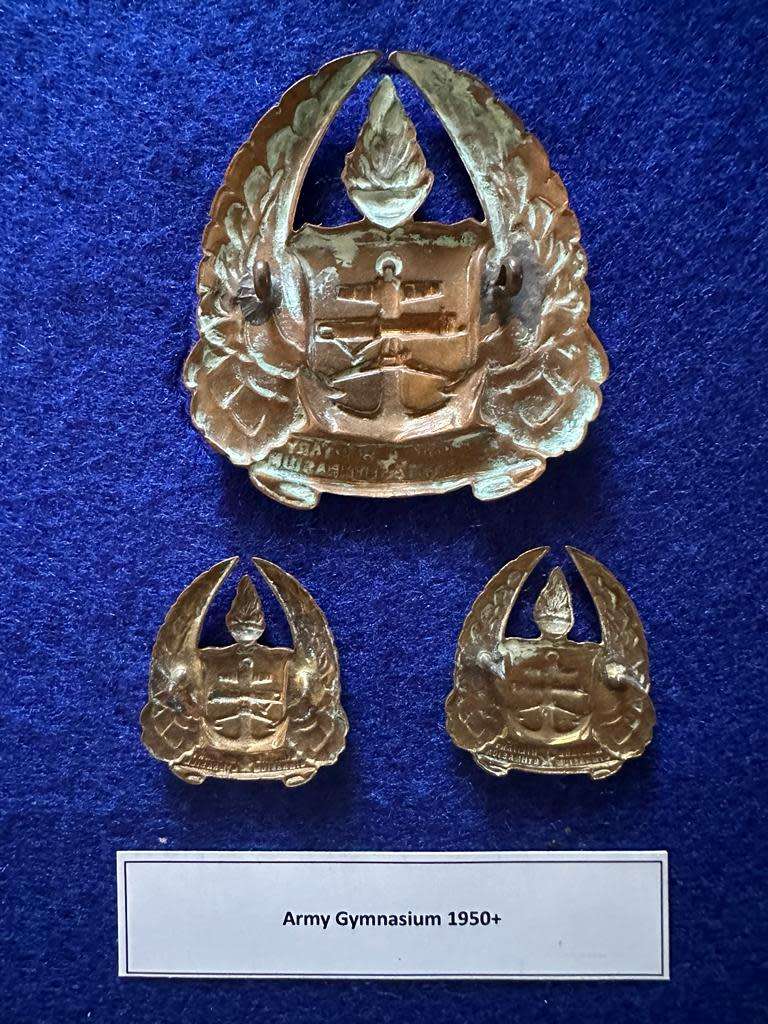 South African Army - SA Army Gymnasium 1950+, Cap Badge and Set of ...