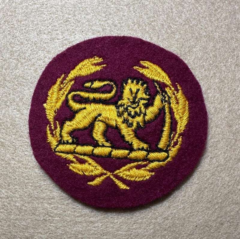 International Badges & Insignia - Rhodesian Medical Corps - WO2 - 1970 ...